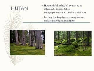 Area Lansekap, Hutan dan Padang Rumput Kebun Raya Cibodas | PPTX