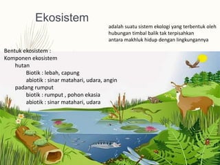 Area Lansekap, Hutan dan Padang Rumput Kebun Raya Cibodas | PPTX