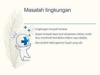 Area Lansekap, Hutan dan Padang Rumput Kebun Raya Cibodas | PPTX
