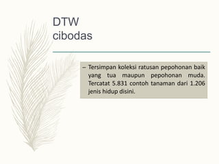 Area Lansekap, Hutan dan Padang Rumput Kebun Raya Cibodas | PPTX