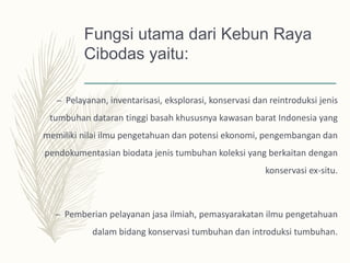 Area Lansekap, Hutan dan Padang Rumput Kebun Raya Cibodas | PPTX