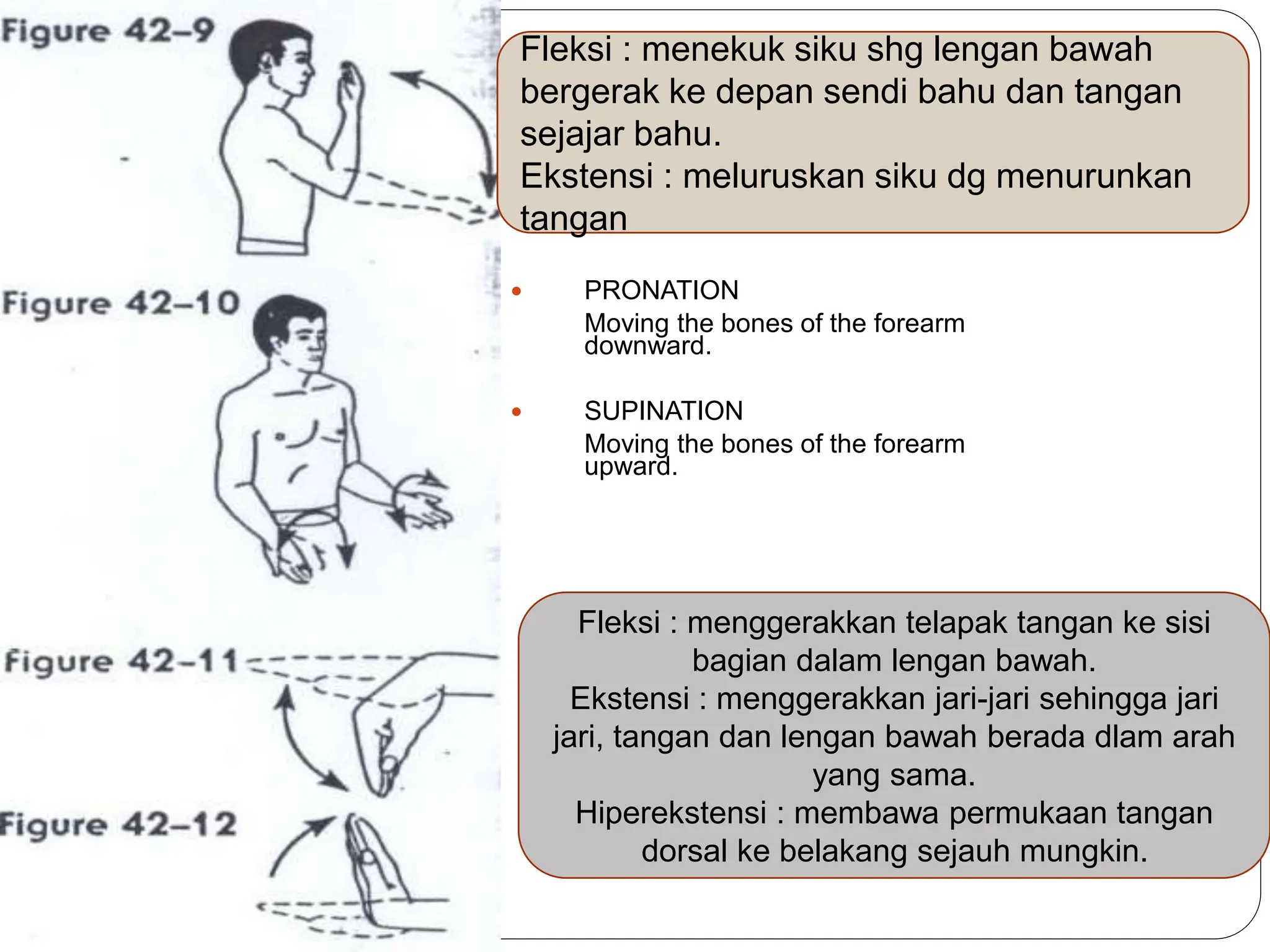Kebutuhan-Mobilisasii dan transfortasi pada lansia | PPT
