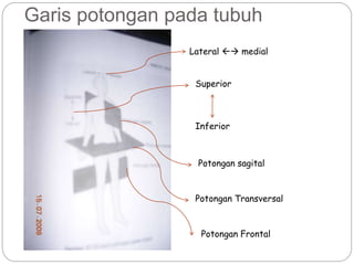 Kebutuhan-Mobilisasii dan transfortasi pada lansia | PPT