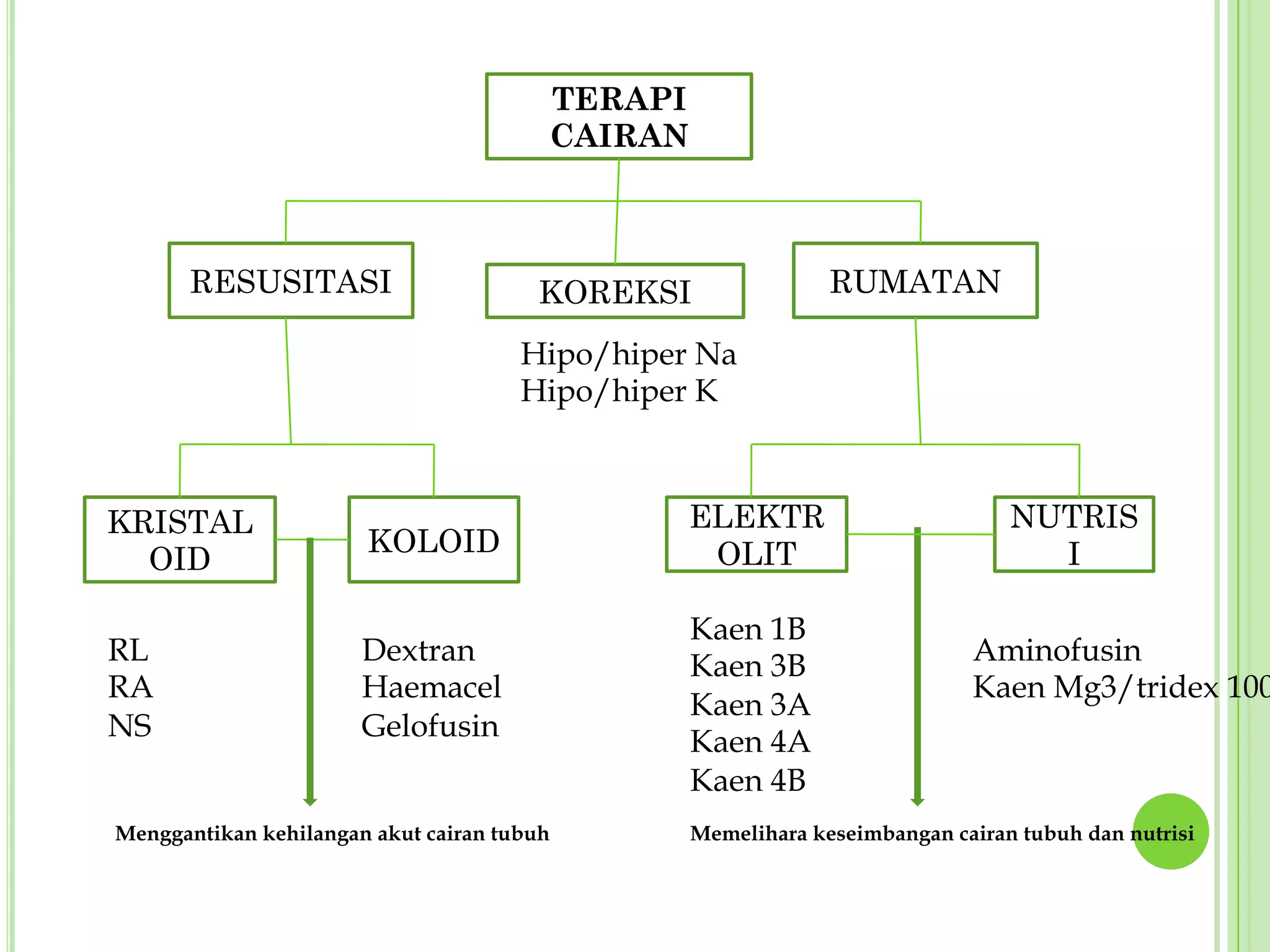 Kebutuhan Cairan | PDF