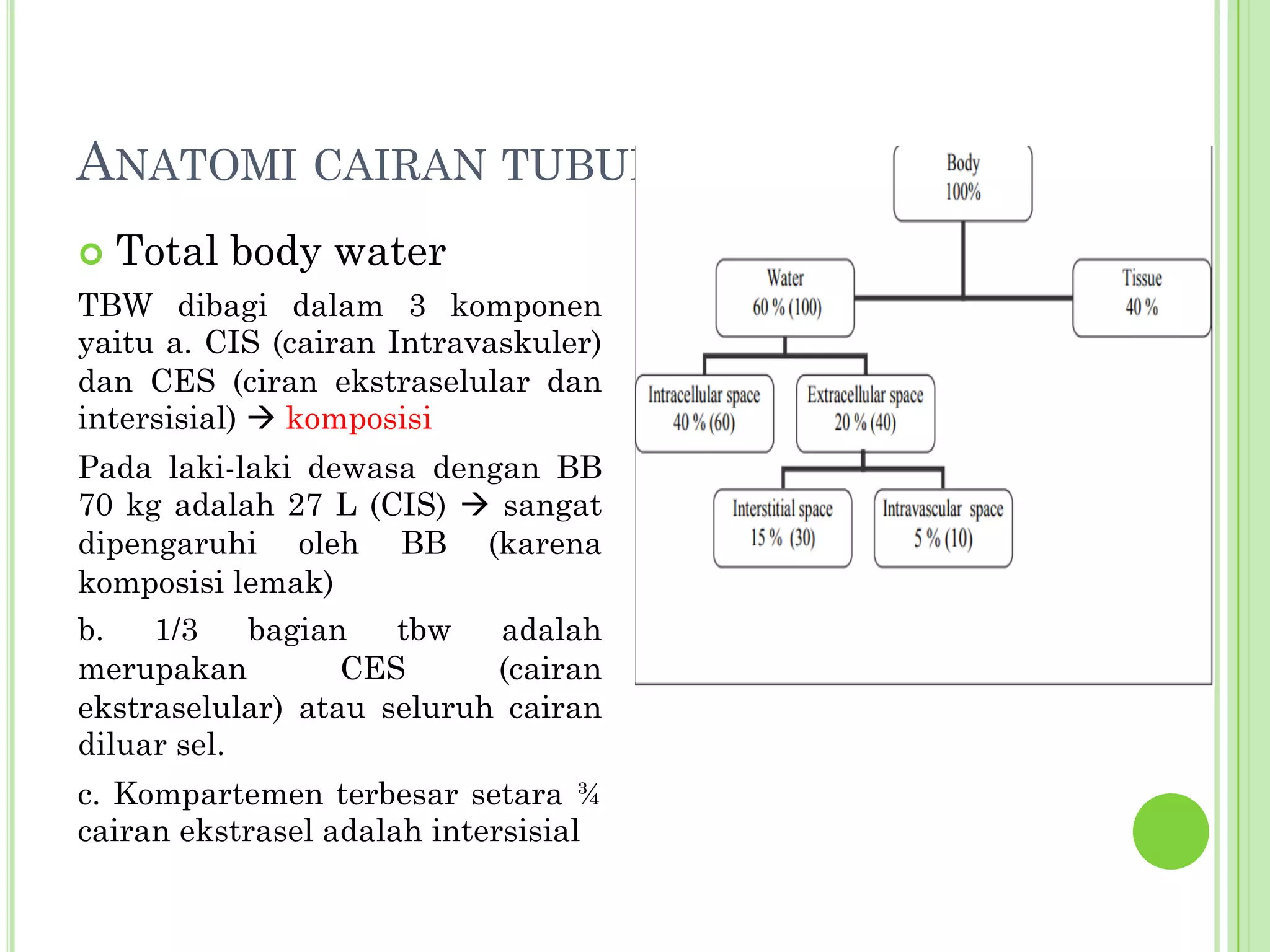 Kebutuhan Cairan | PDF