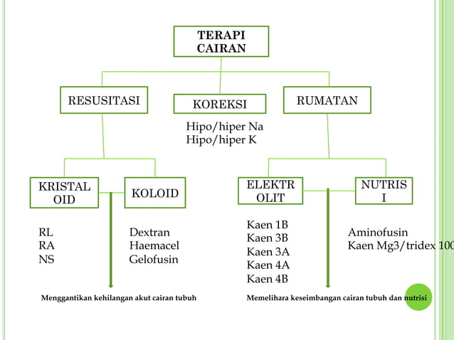 Kebutuhan Cairan | PDF