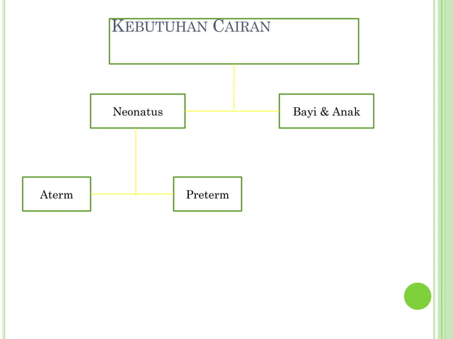 Kebutuhan Cairan | PDF
