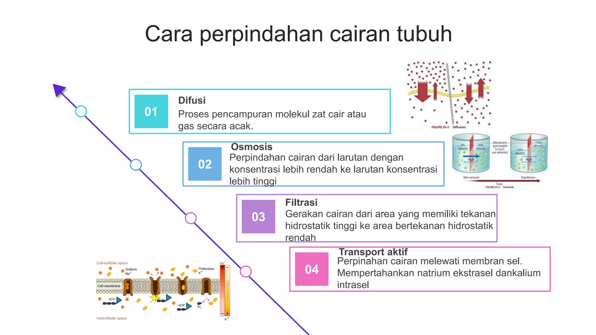 Kebutuhan cairan dan elektrolit tubuh | PPTX