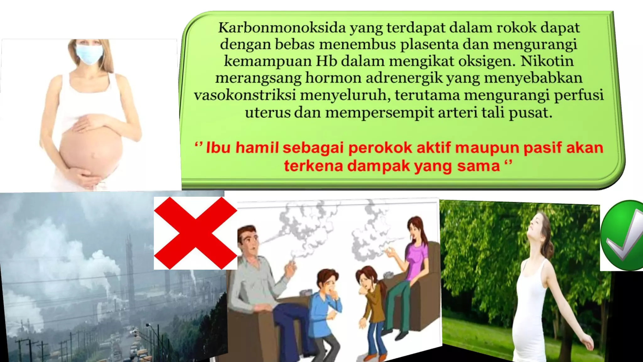 Kebutuhan dasar ibu hamil sesuai dengan tahapan perkembangannya | PPT