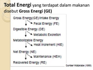 Kebutuhan energi 2 | PPTX