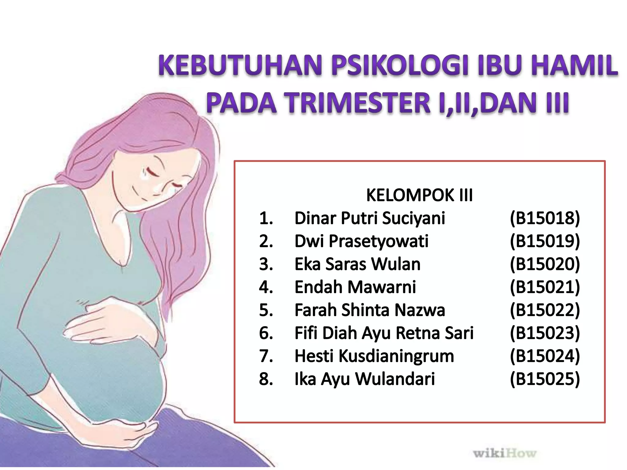 Kebutuhan psikologi ibu hamil pada trimester i,ii,dan iii | PPTX