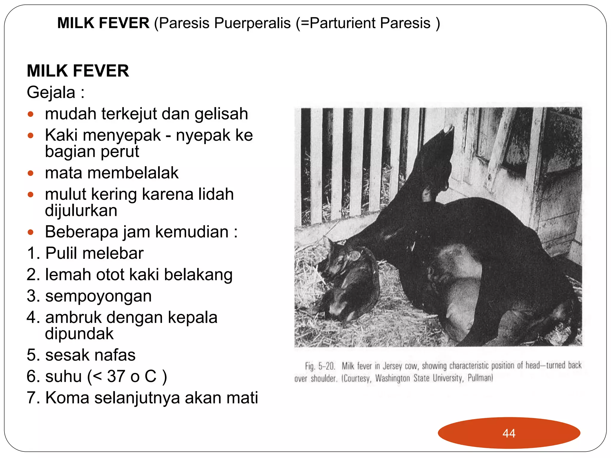 KEBUTUHAN ZAT MAKANAN UNTUK RUMINANSIA.ppt