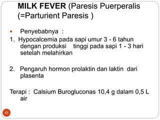 KEBUTUHAN ZAT MAKANAN UNTUK RUMINANSIA.ppt