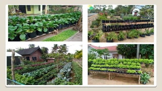 kec-buayan.kebumenkab.go.id.160221-materi-rakon-pookja-iii-tp-pkk ...