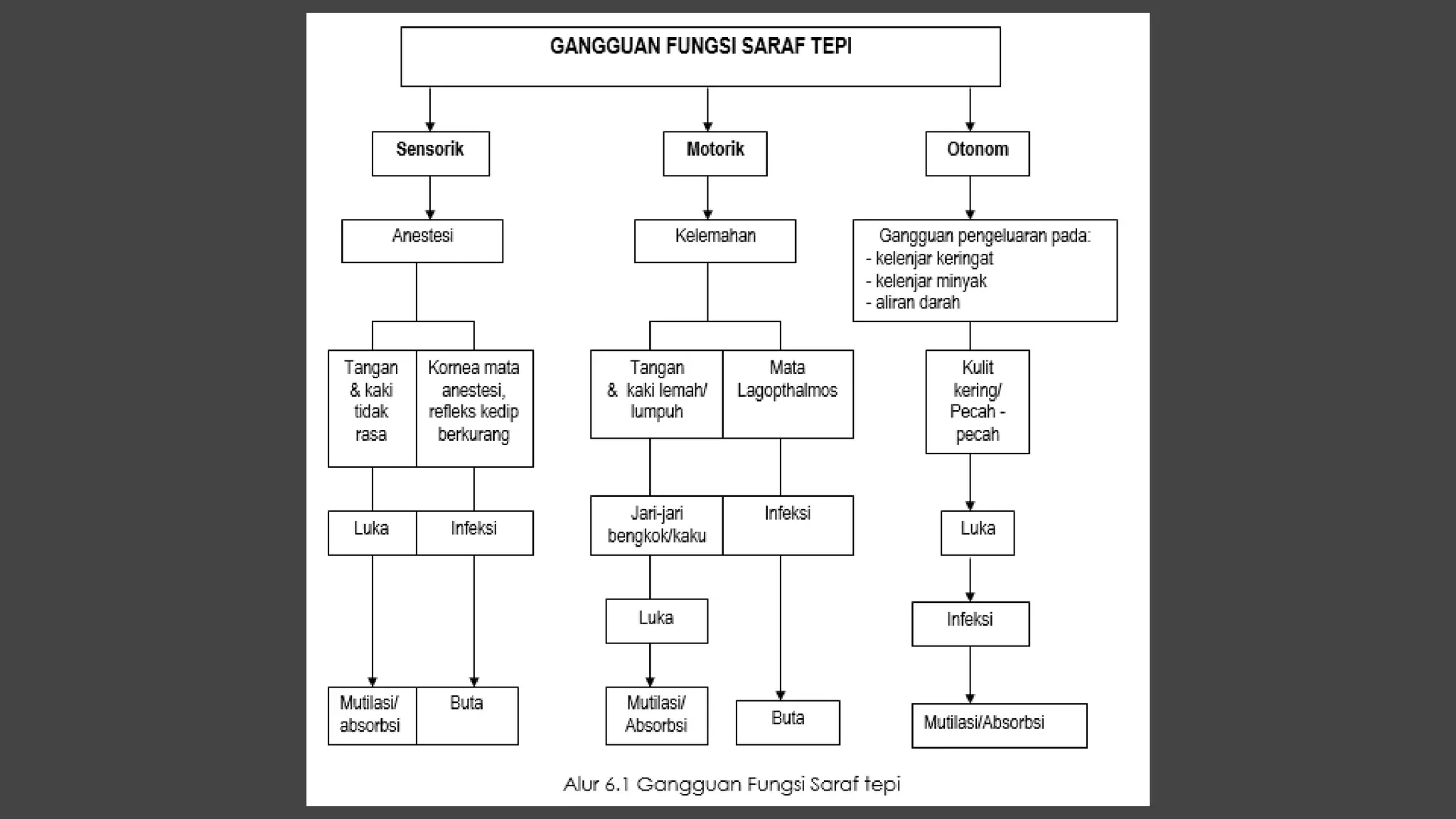 Kecacatan dan pencegahan kecatatan kusta | PPTX