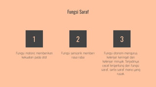 Kecacatan dan pencegahan kecacatan kusta | PPT
