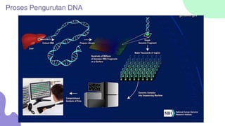 Kecerdasan Buatan pada Genetika AI pada DNA Tugas Ilmu Keberlanjuta ...