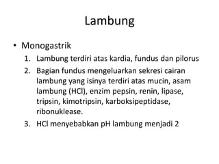 Kecernaan digestibility | PPT