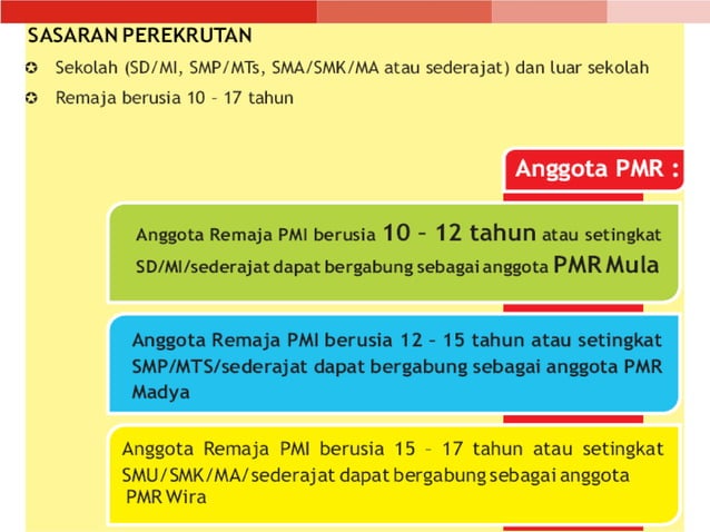 Kedudukan PMR dalam Organisasi PPT (Materi PMR) | PPT
