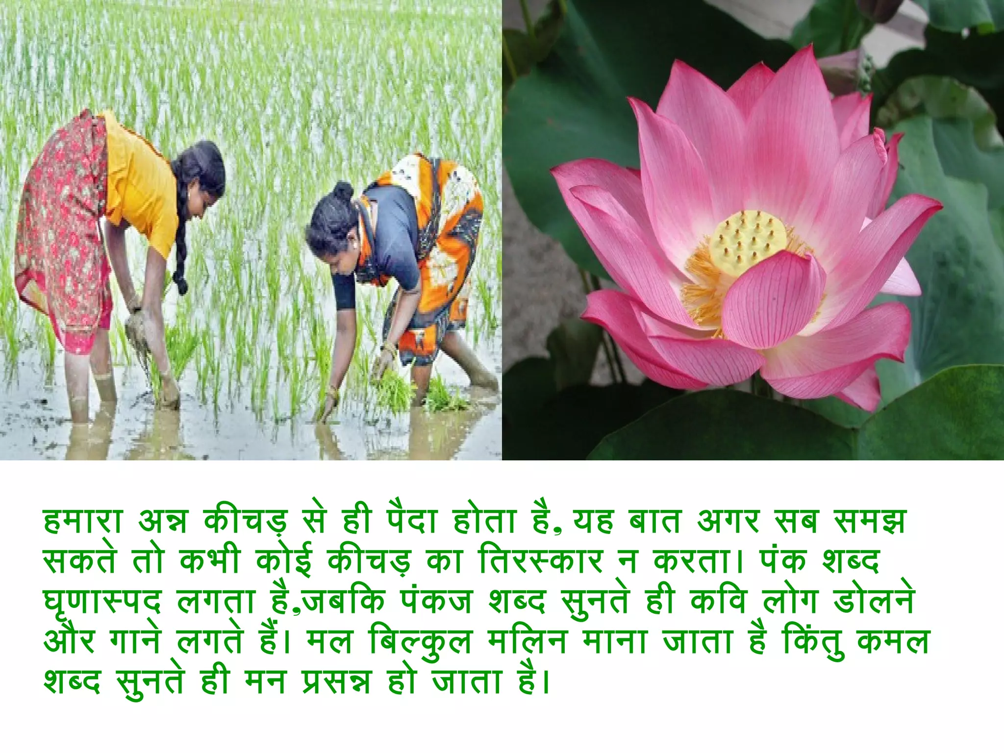 Keechad ka-kavya class 9 | PPT