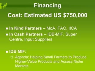 Vegetable producer - problems and solutions | PPT
