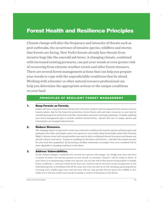 Keep Forests Health: A Tool to Assess Resilience, Health and ...