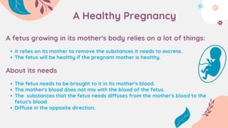 Keeping a fetus healthy presentation year 9 | PDF