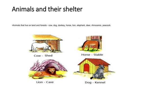 Keeping safe (Analysis).pptx