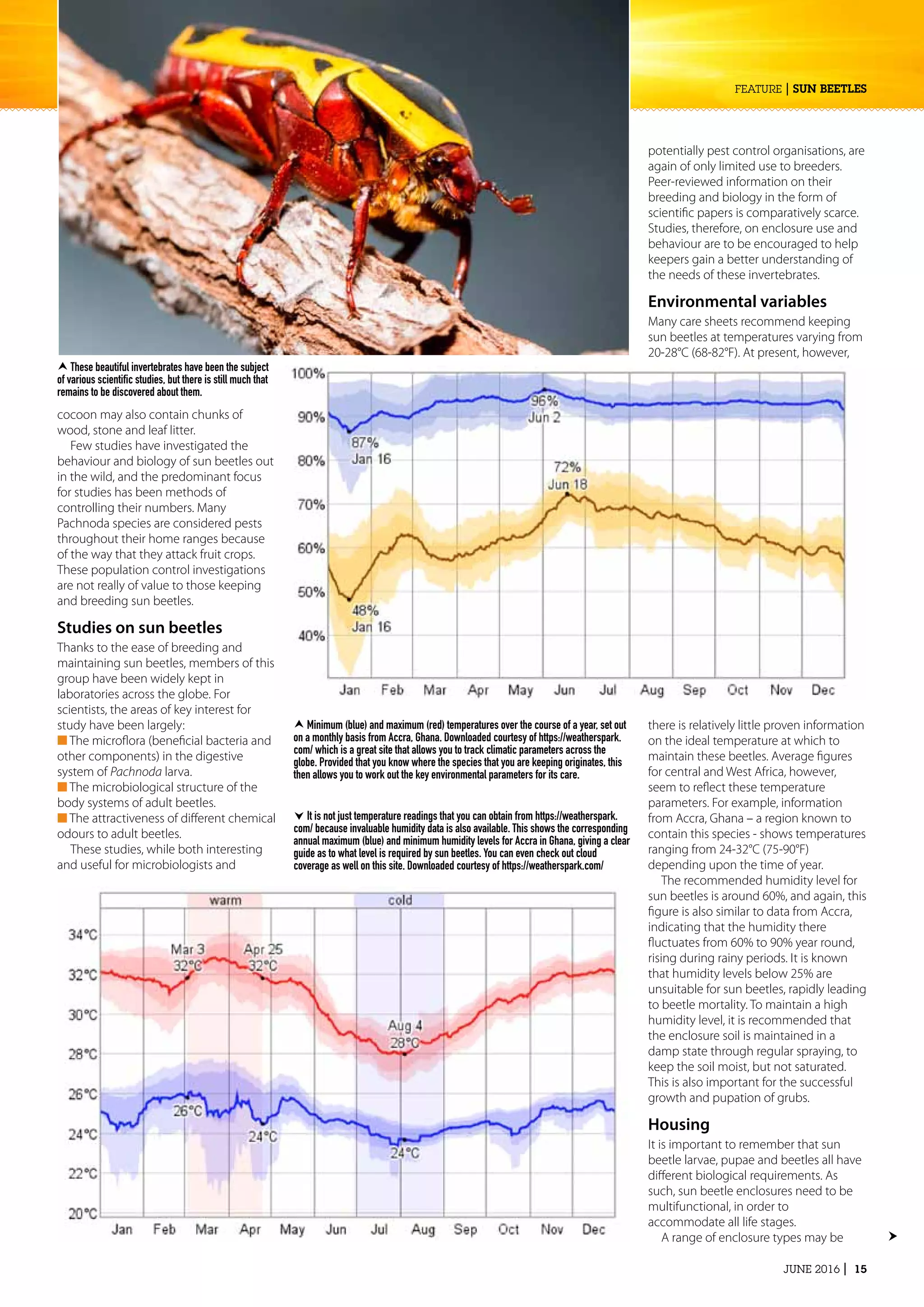 Keeping sun beetles | PDF