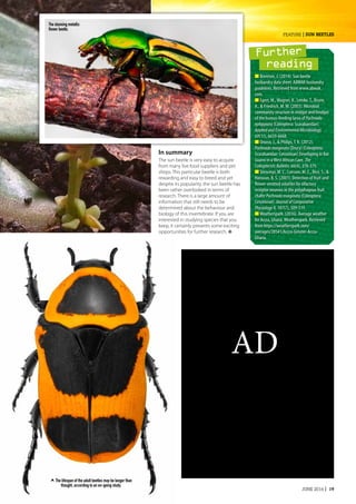 Keeping sun beetles | PDF