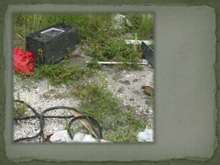 Littering and Illegal Dumping | PPTX | Automotive