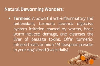 Keep Your Pup Worm-Free Naturally A Guide to DIY Dog Deworming.pdf
