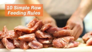 10 Simple Raw Feeding Rules | PPTX