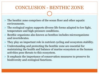 Marine microbial environment and characteristics and types of Marine ...