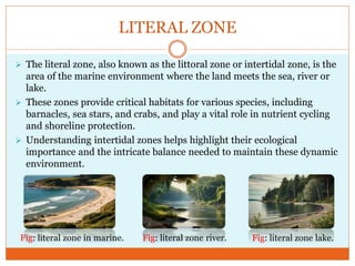 Marine microbial environment and characteristics and types of Marine ...