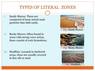 Marine microbial environment and characteristics and types of Marine ...