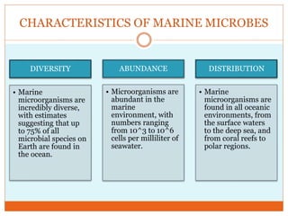 Marine microbial environment and characteristics and types of Marine ...