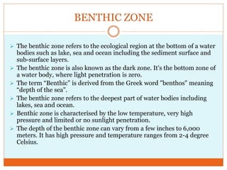 Marine microbial environment and characteristics and types of Marine ...