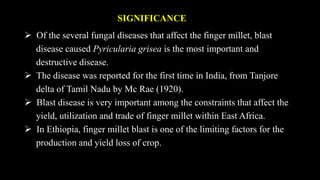 Ragi Blast | PPTX