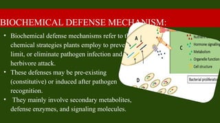 Structural &Biochemical defense mechanism in plants ppt | PPTX
