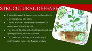 Structural &Biochemical defense mechanism in plants ppt | PPTX