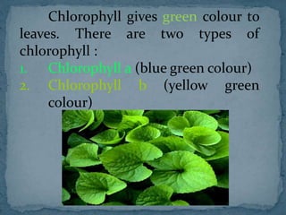 Keerthi | PPT