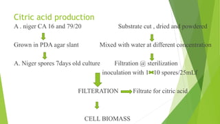 Citric Acid Production | PPTX
