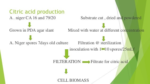 Process Flow Diagram For Production Of Citric Acid Biotechno