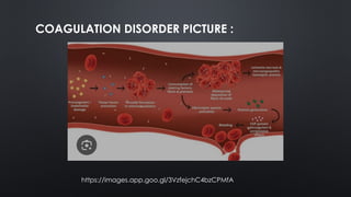 Laboratory Methods used in the Investigation of Coagulation Disorders ...