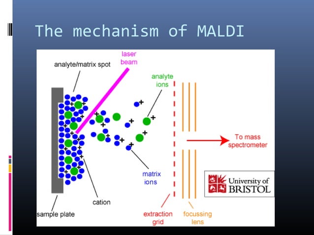MALDI | PPT | Chemistry | Science