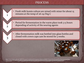 Kefir & Kumis | PPTX