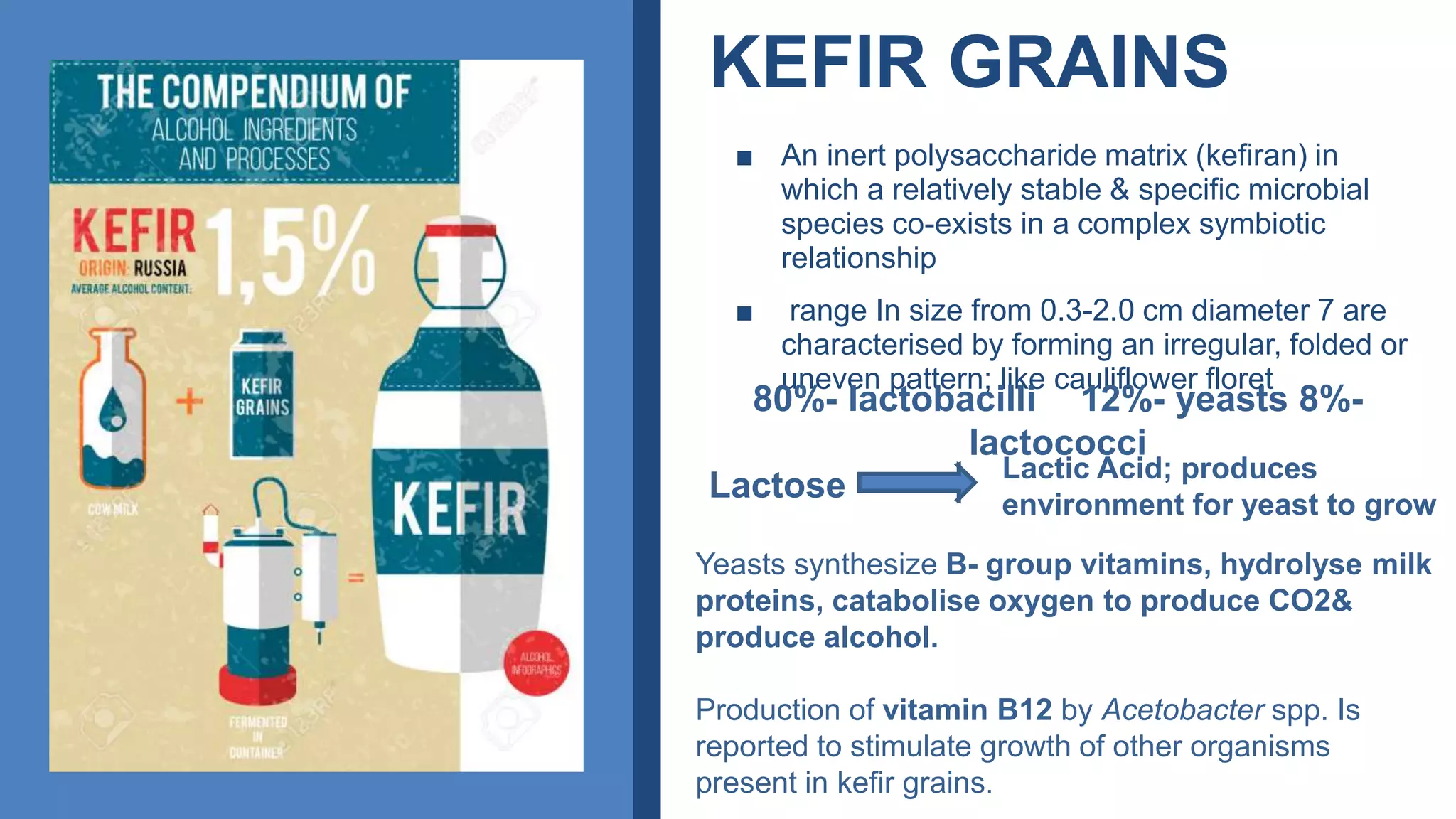 Kefir production | PPTX