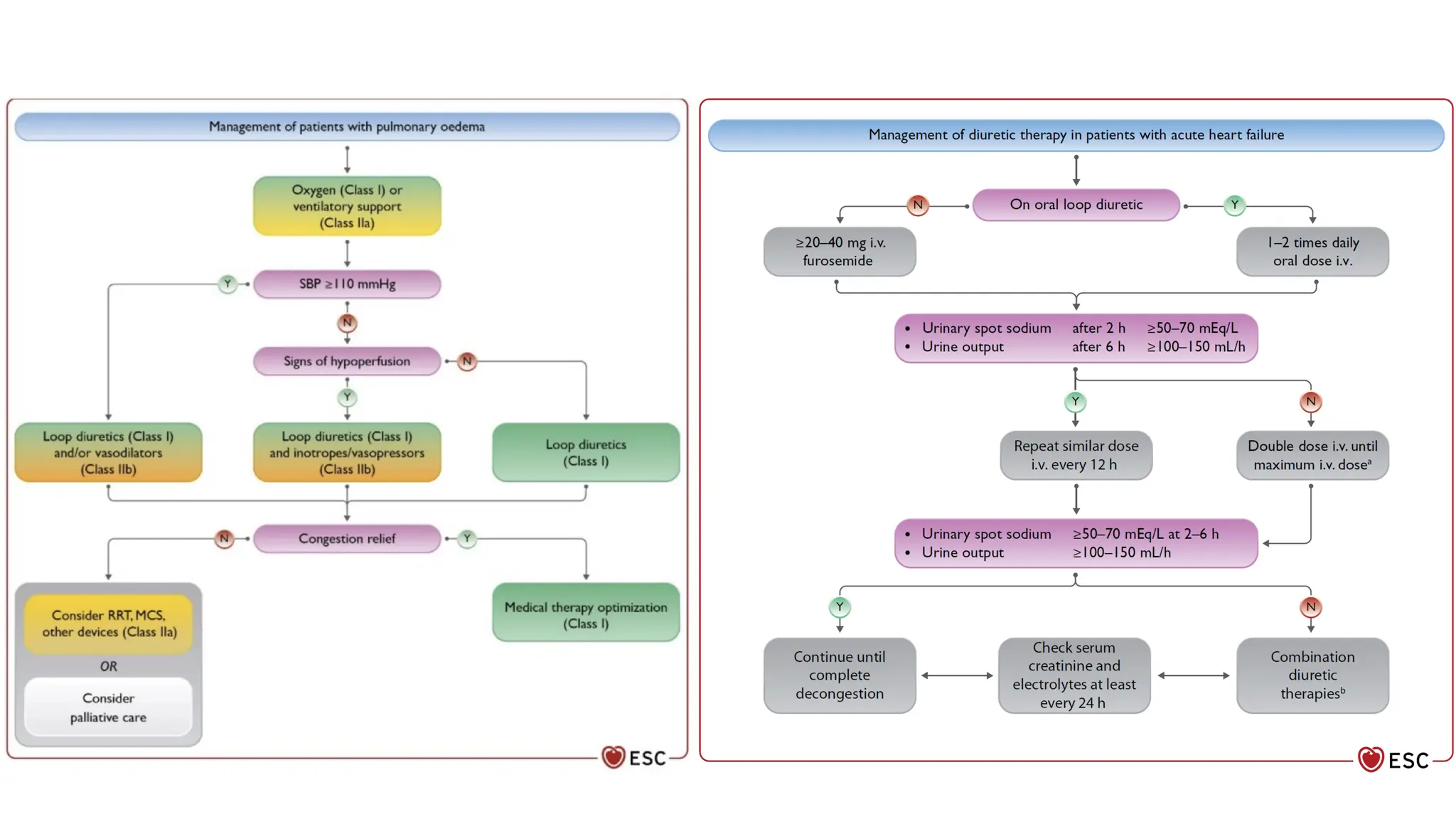 Kegawatan pada AHF penyakit jantung pembuluh darah.pptx