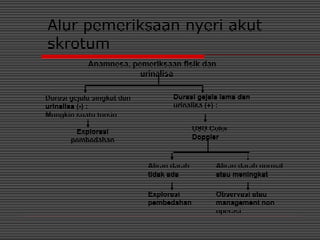 KEGAWATDARURATAN-UROLOGI-emergency uro.ppt